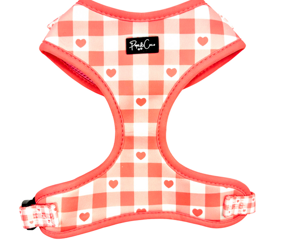 Fully Adjustable Harnesses – Pops And Coco